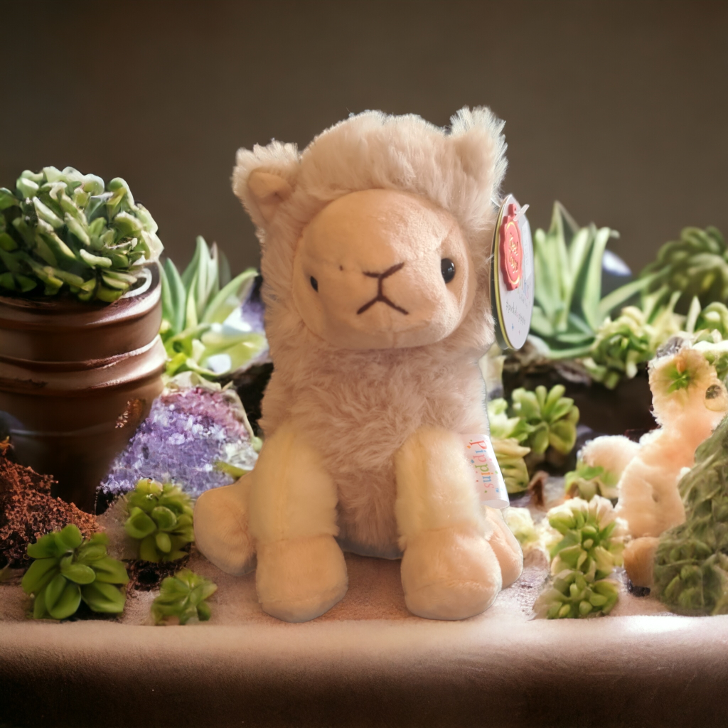 Shop - Alpaca Evolution