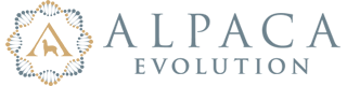 Breeding Alpacas - Alpaca Evolution